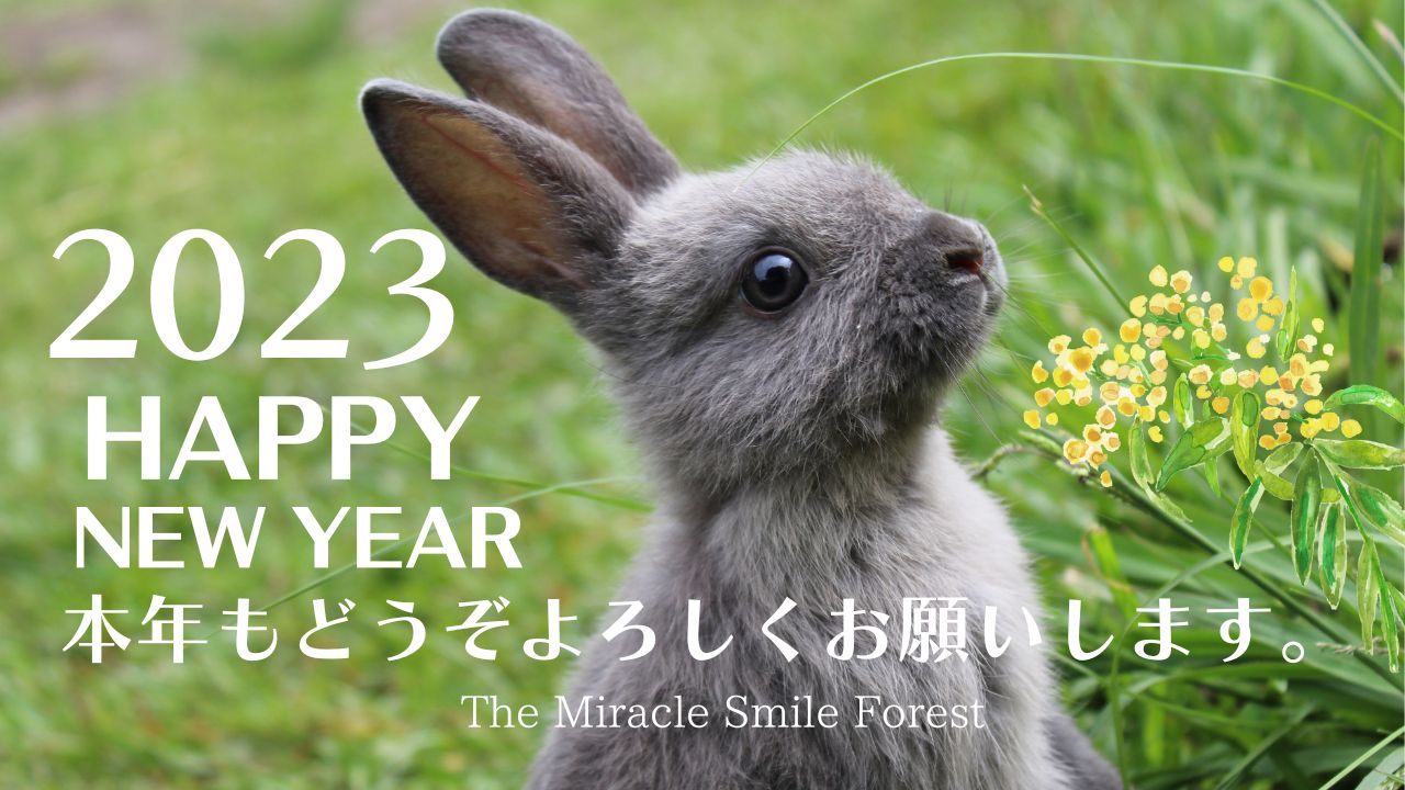 The Miracle Smile Forest公式サイト – 心、体、魂を整える最強誘導瞑想