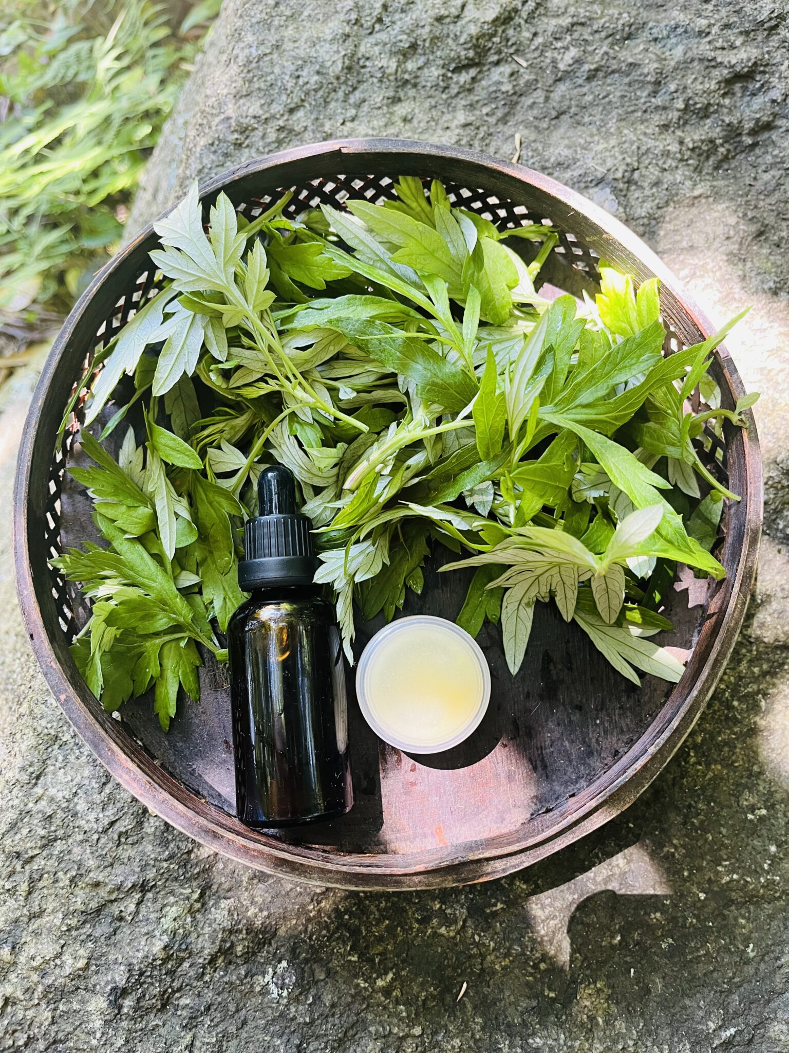 The Miracle Smile Forest公式サイト – 心、体、魂を整える最強誘導瞑想