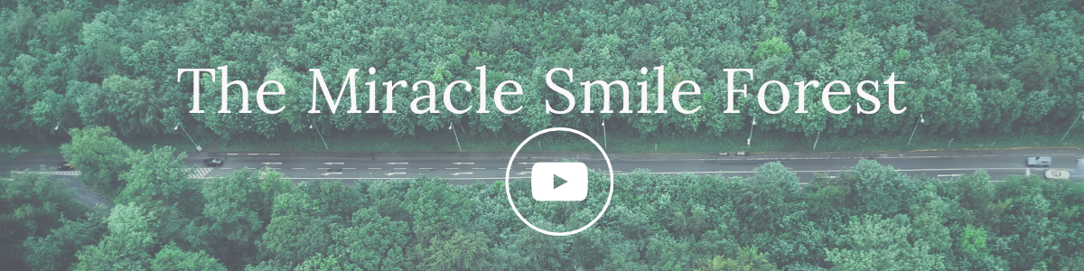 The Miracle Smile Forest公式サイト | 心、体、魂を整える最強誘導瞑想